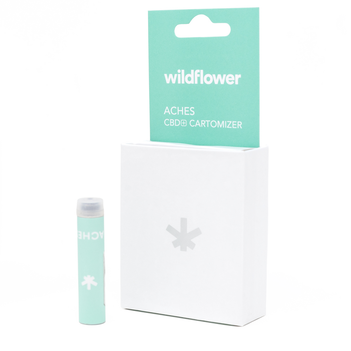 CBD VAPORIZER – the-session